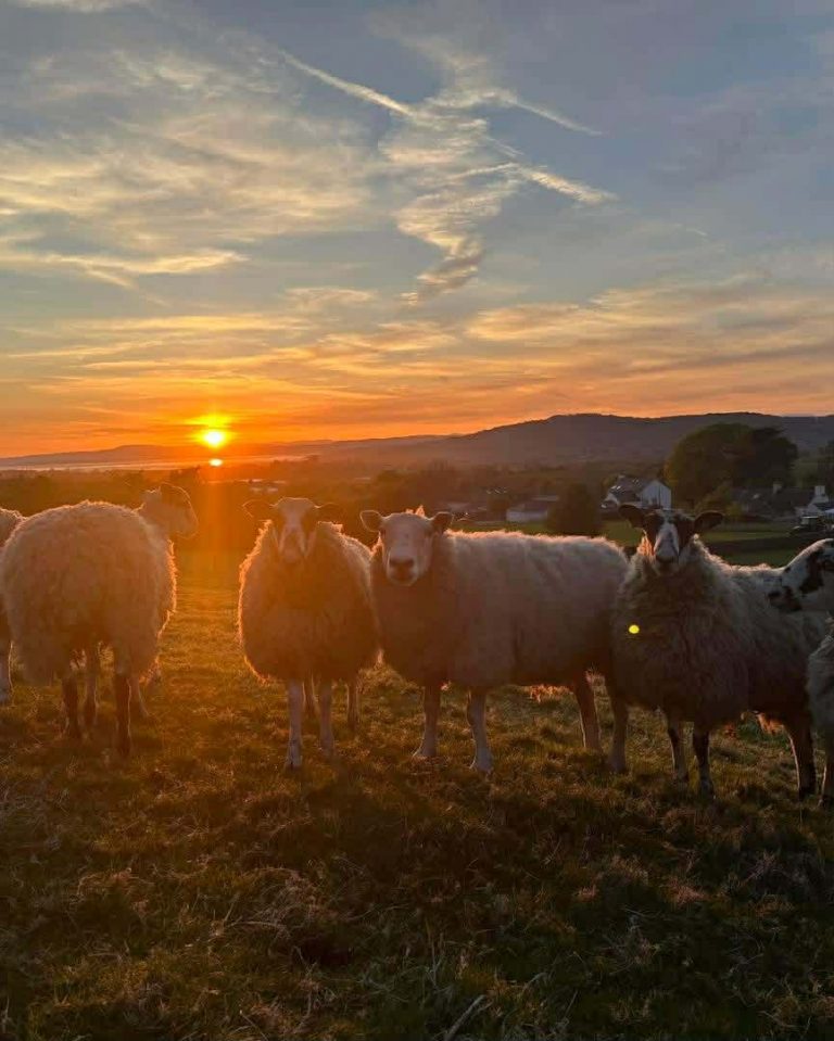 Eagles Head, Over Kellet – Just another WordPress site